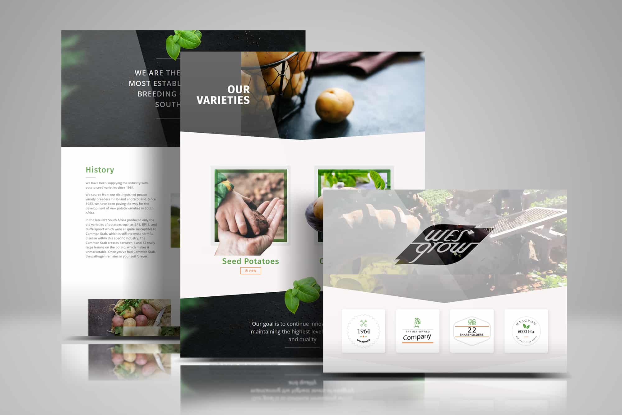 Wesgrow - Solid Projects