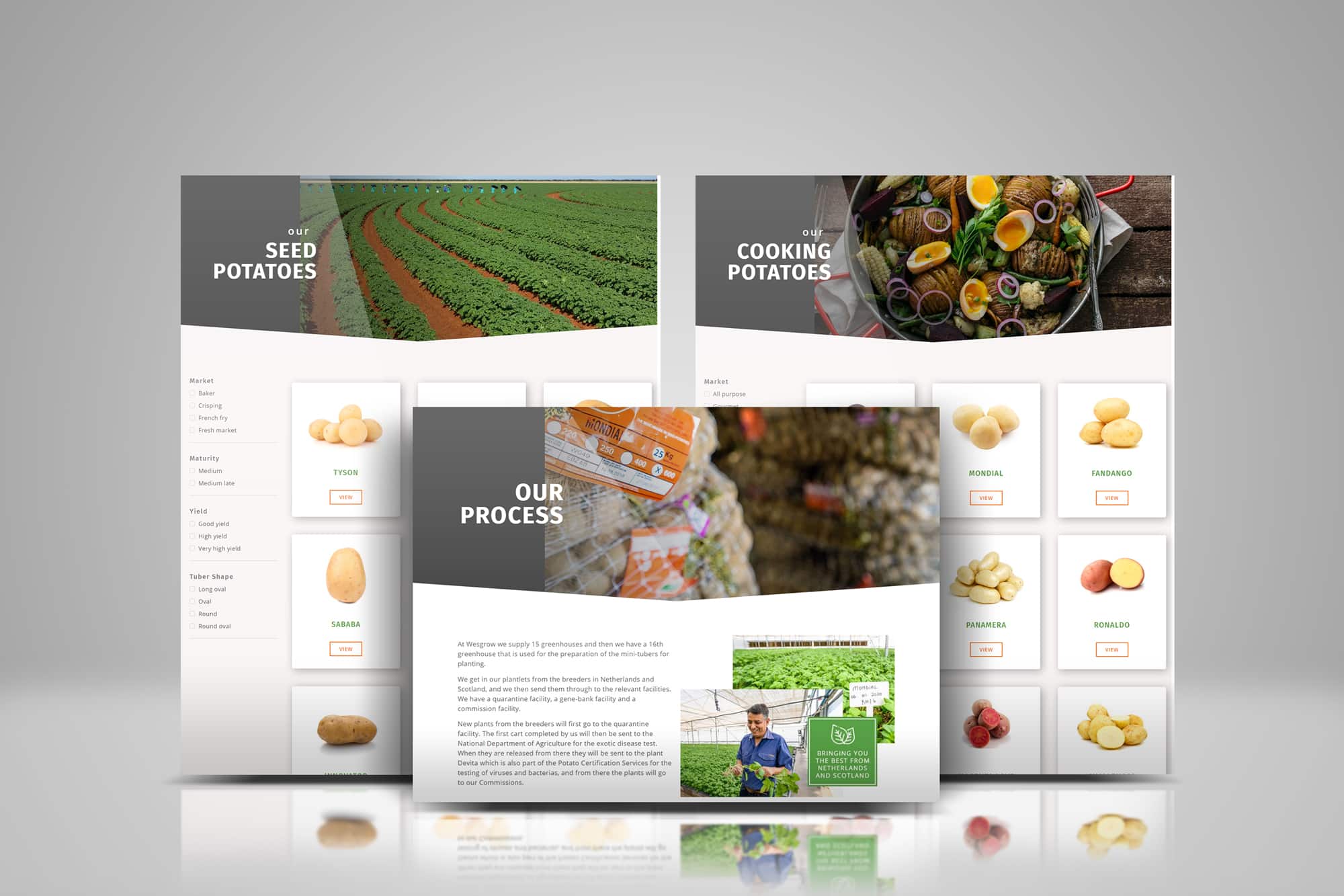 Wesgrow - Solid Projects