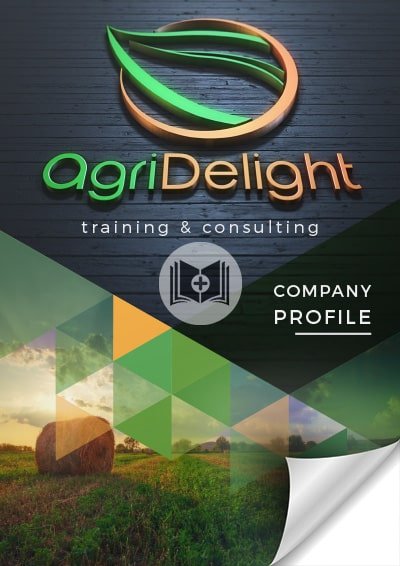 Why you need a company profile - Solid Projects