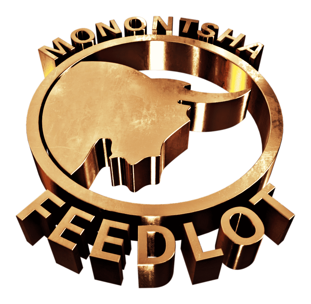 Monontsha Feedlot - Logo Design - Solid Projects