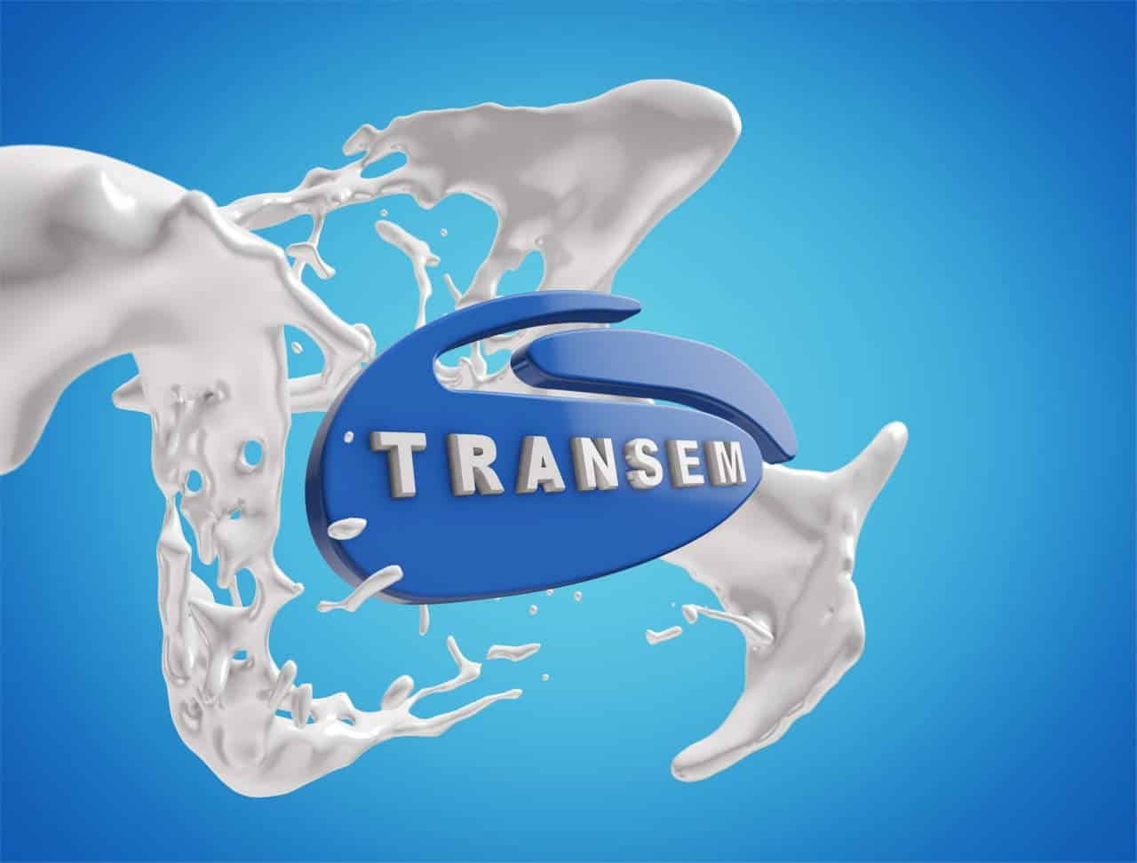 Transem - 3D Logo - Solid Projects