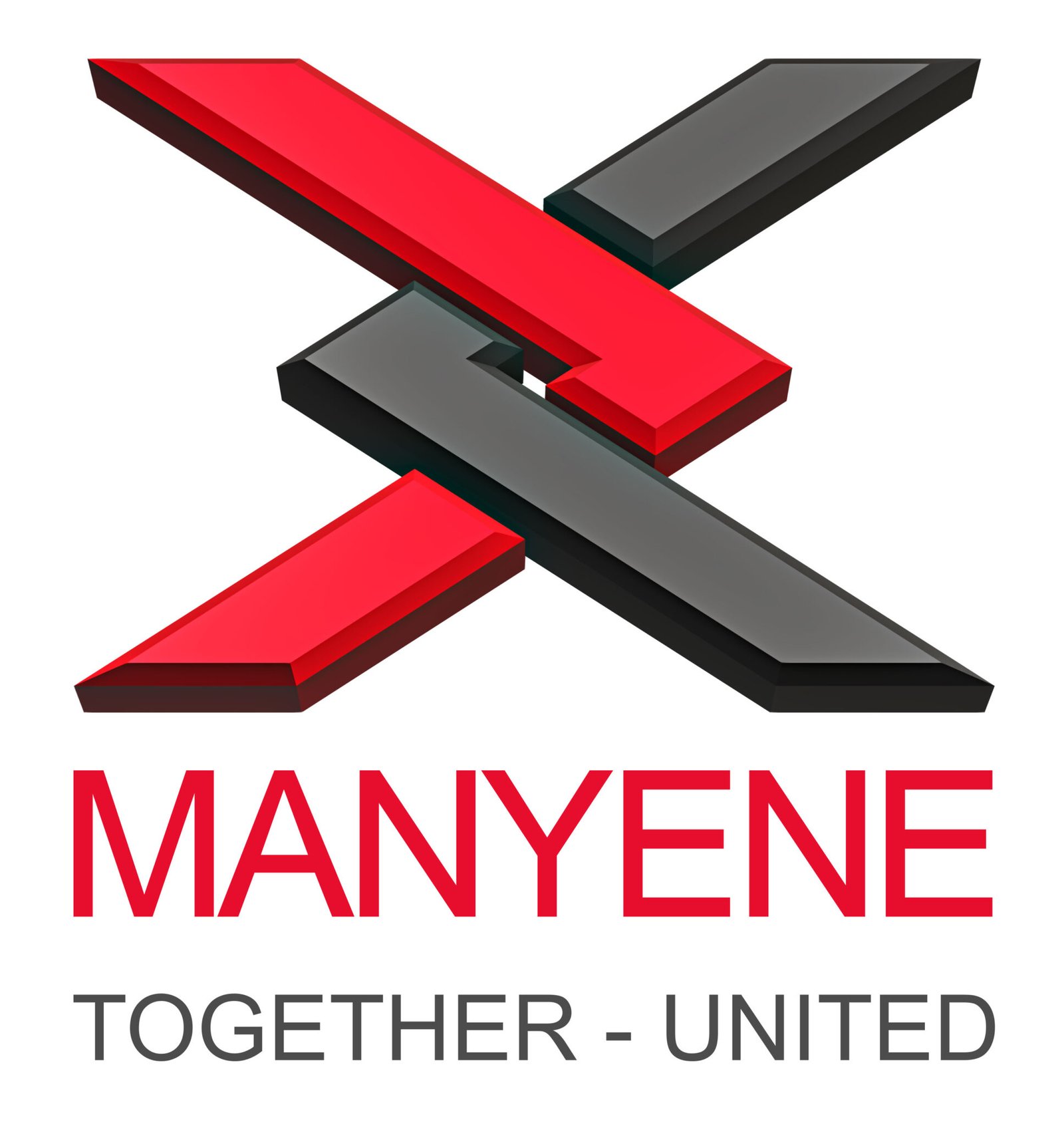 Manyene - 3D Logo - Solid Projects